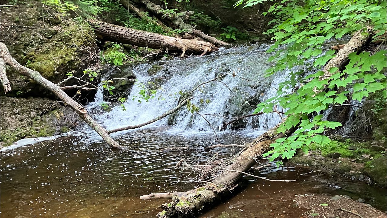 Upper Peninsula Brook Trout Fishing | Michigan Brook Trout - YouTube