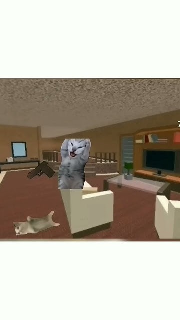 mm2 cats #mm2 #cats#meme - YouTube
