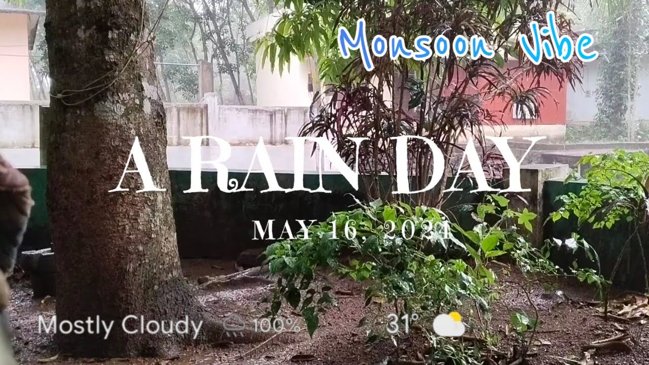 A Rainy Day, May 16 ☔️ - YouTube