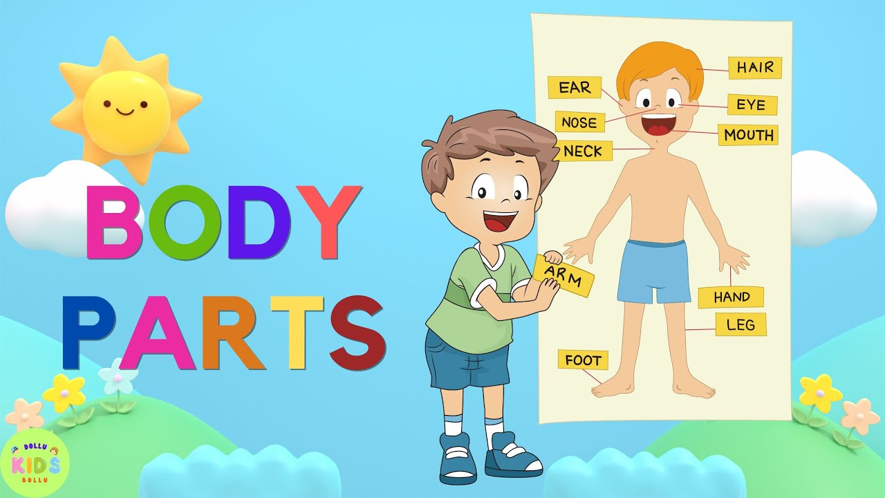 Learn Parts of Body Names | Body Parts Names for Kids | Human Body ...