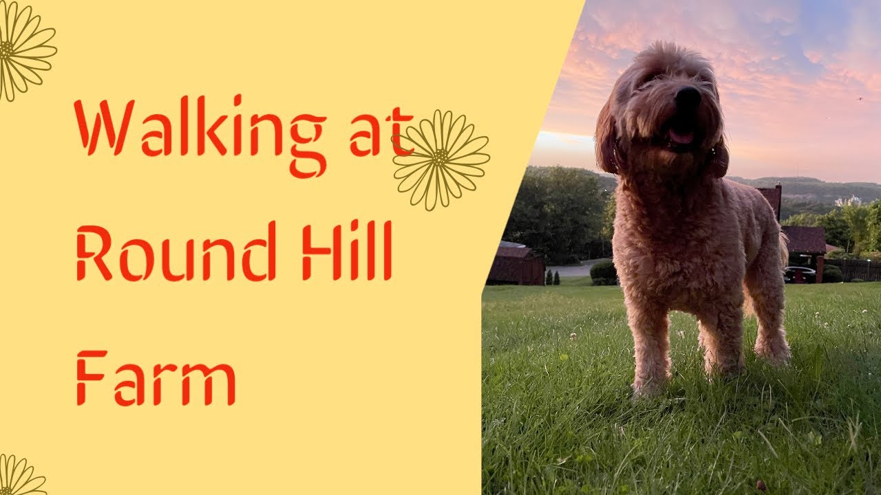 Round Hill Park - Exhibit Farm - Point of View (POV) Footage - YouTube