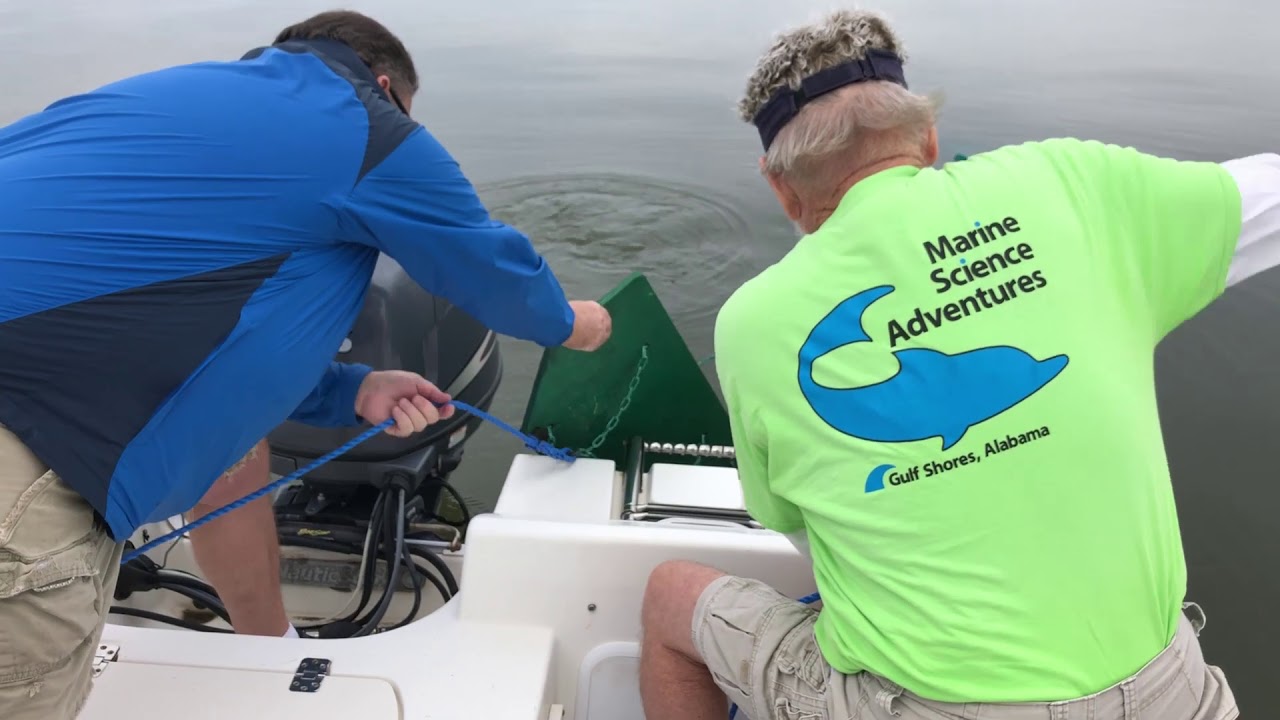 Shrimp Trawl Part 1–Setting Up the Trawl - YouTube