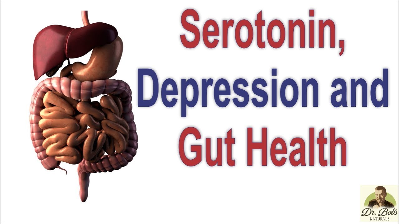 The Serotonin Theory of Depression - YouTube