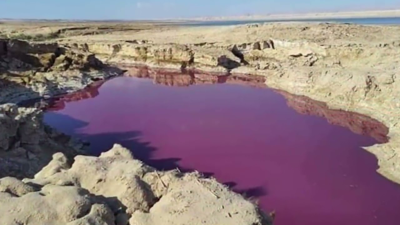 DEAD SEA TURNS TO BLOOD ON DAY OF ATONEMENT! - YouTube