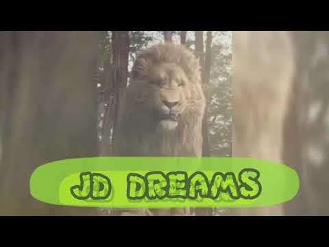 JD dream network - YouTube
