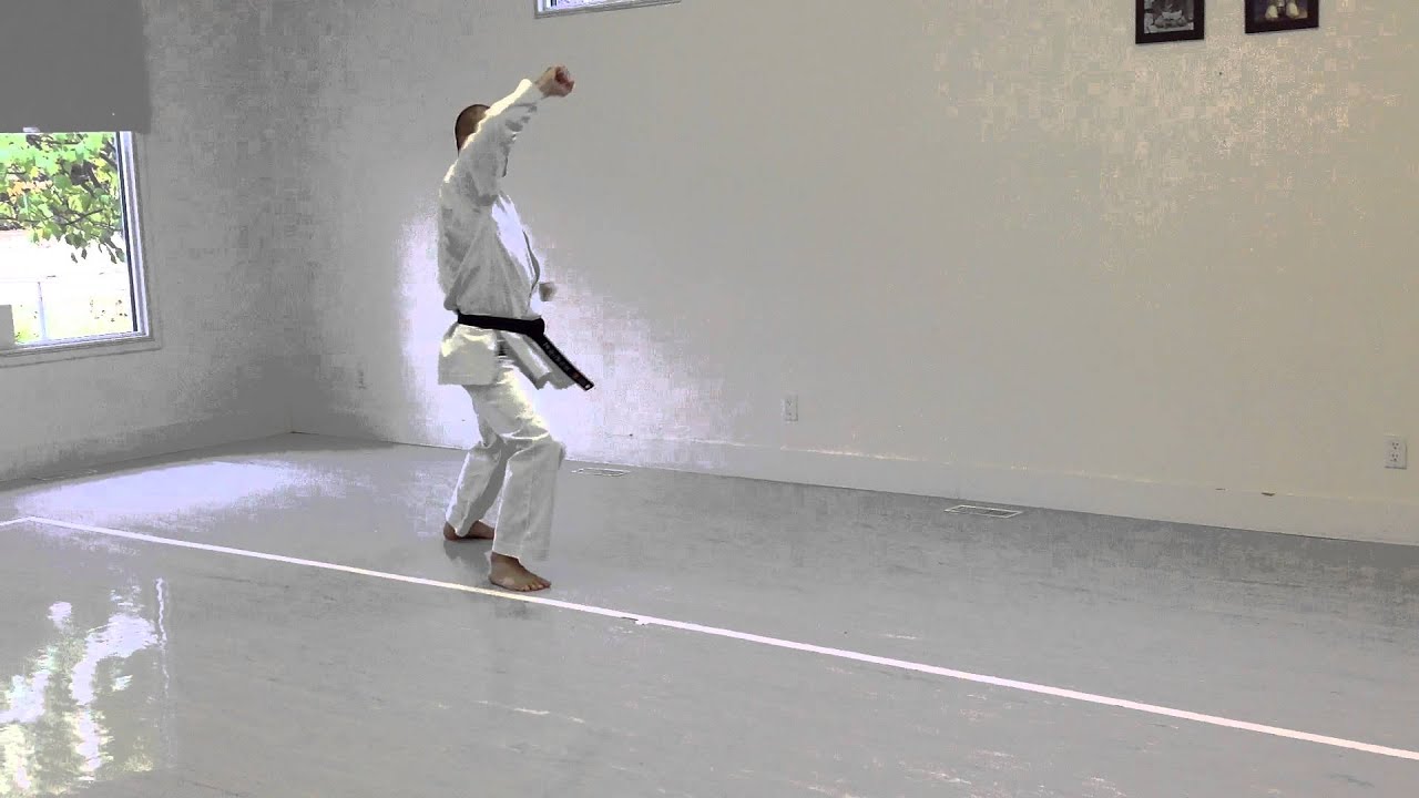 Upward Block, Reverse Punch (back) | IKD Testing Syllabus videos ...