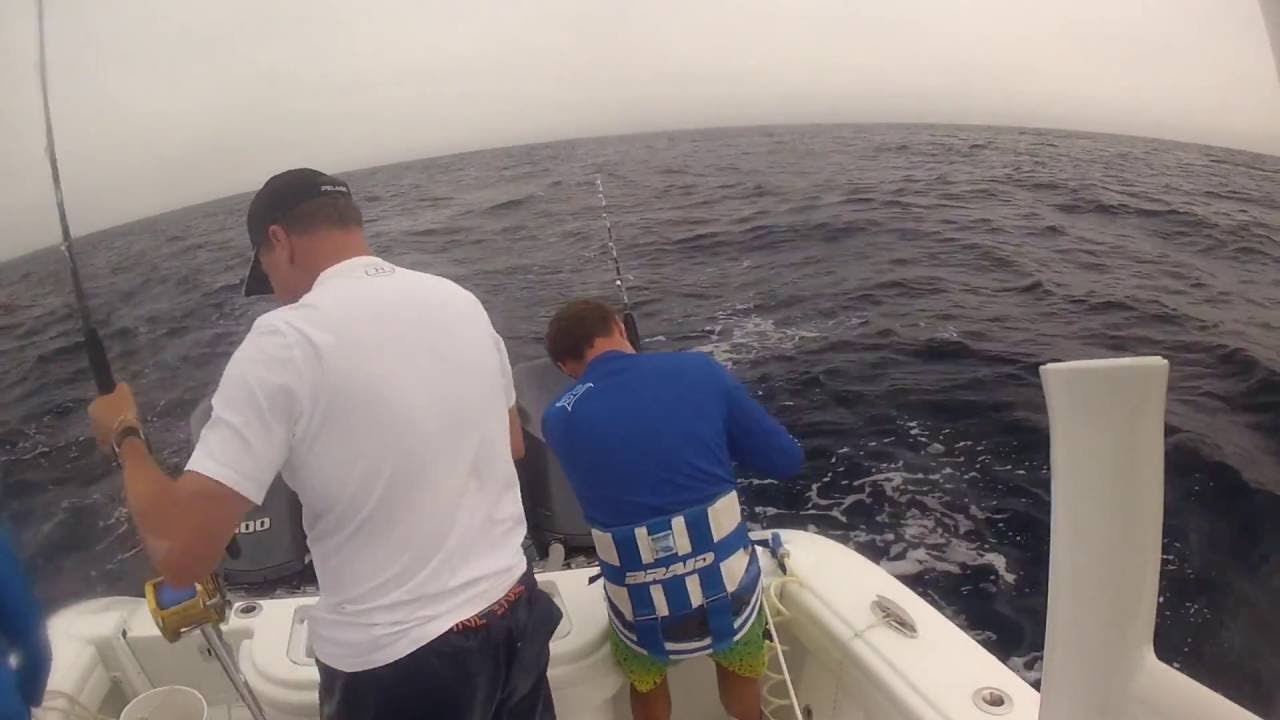 Northeast Canyons Offshore Fishing | Blue Marlin - YouTube
