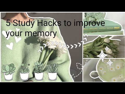 5 Study Hacks To Improve Your Memory - YouTube