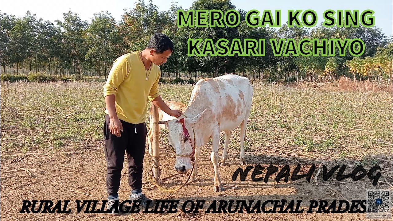 Rural Village Life Vlog| Village life Roing A.P| Simple Village Life ...