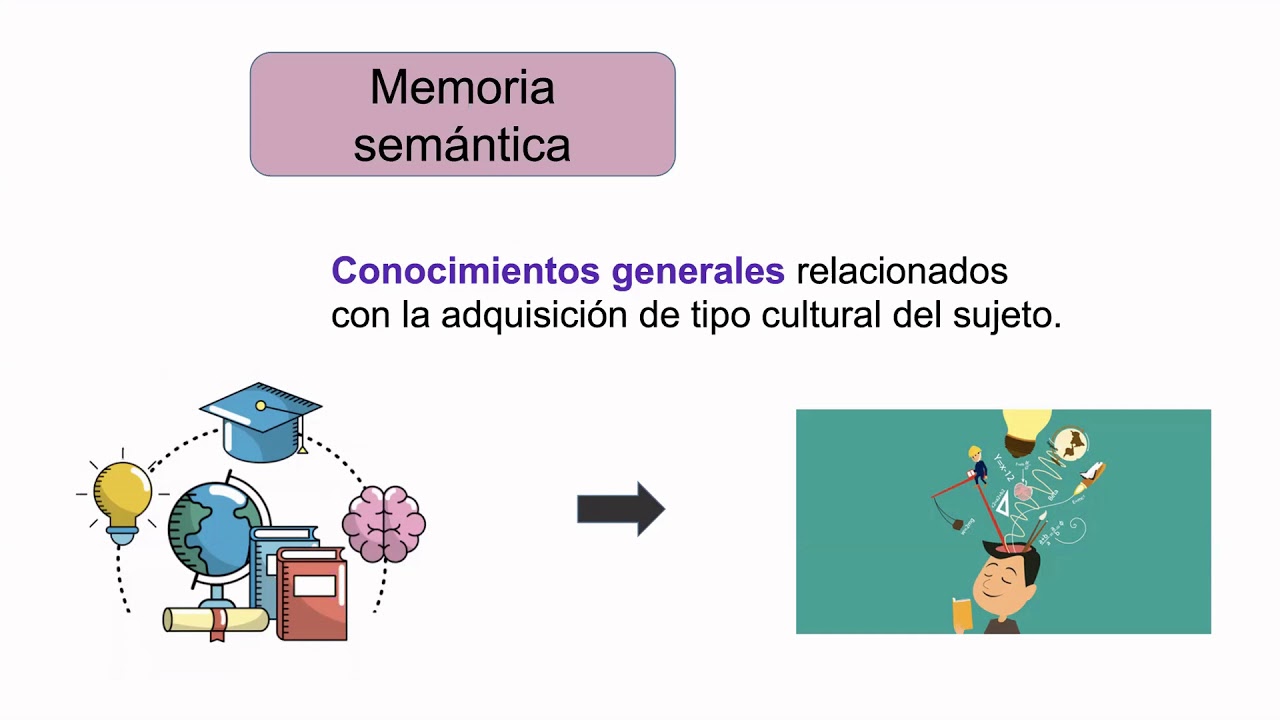 7. Memoria a largo plazo | Mi mente en línea - YouTube