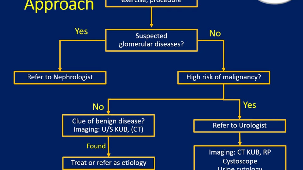 Approach to Asymptomatic Hematuria in Adult - YouTube