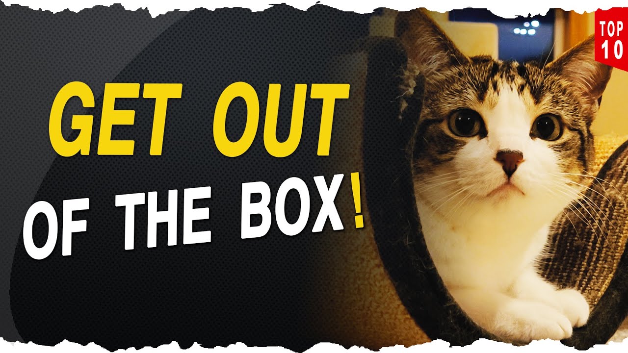A New Box - YouTube