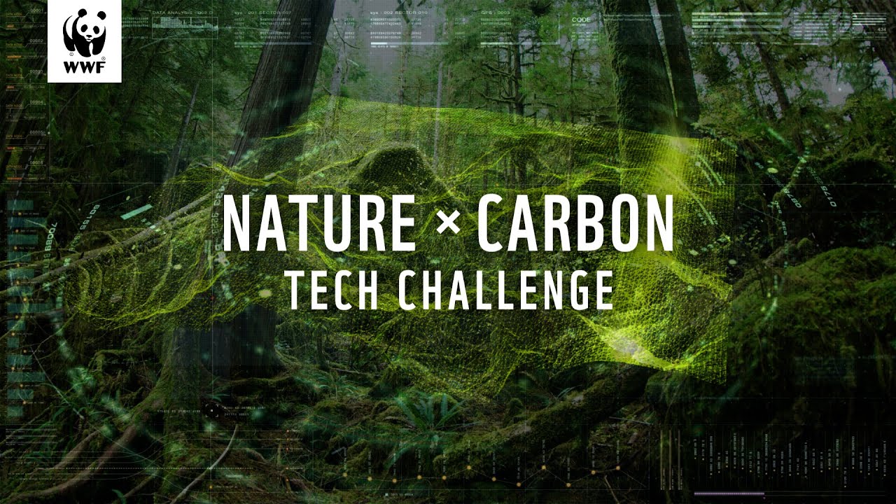 Nature X Carbon Tech Challenge finalists - YouTube