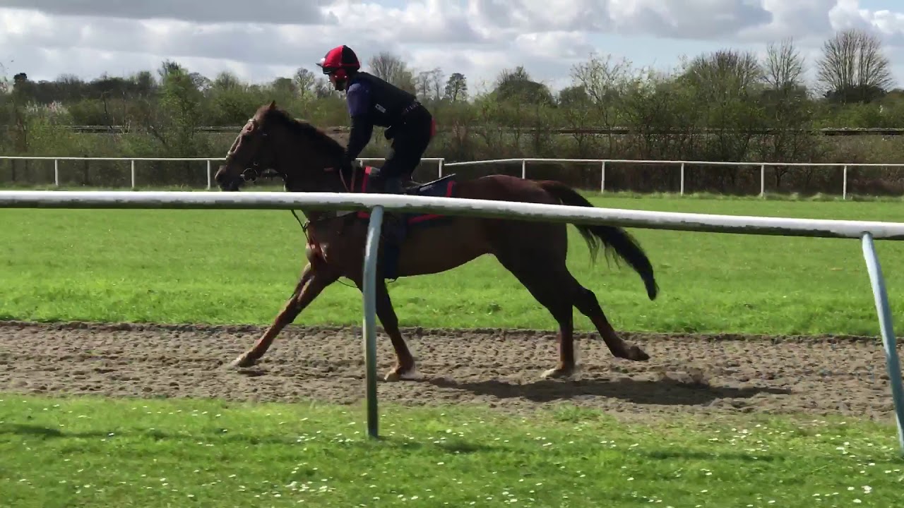 Graduation Ride | The British Racing School - YouTube