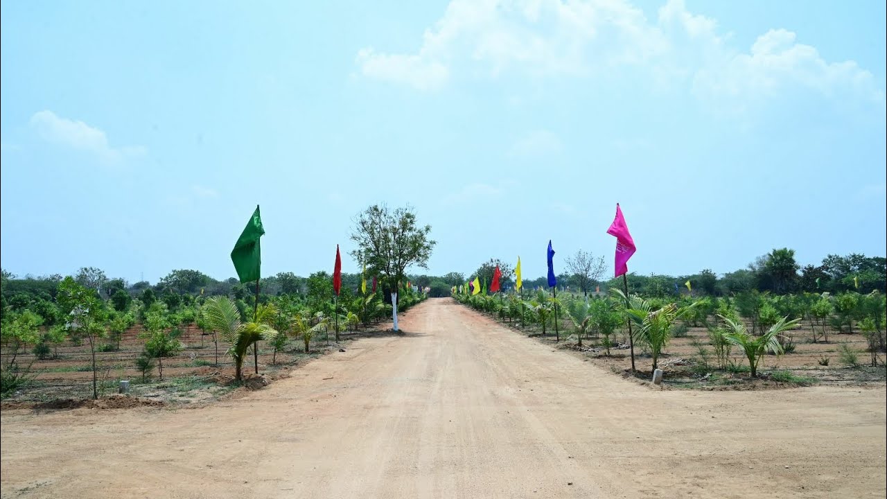 luxury open plot on 6 Lakhs with rental income - YouTube