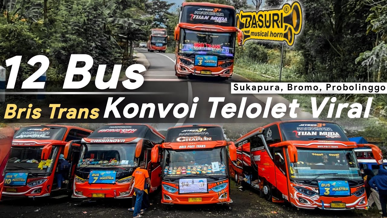 KONVOI GEDEN !! Aksi 12 BUS ARTIS BRIS Trans HEBOHKAN LERENG BROMO ...