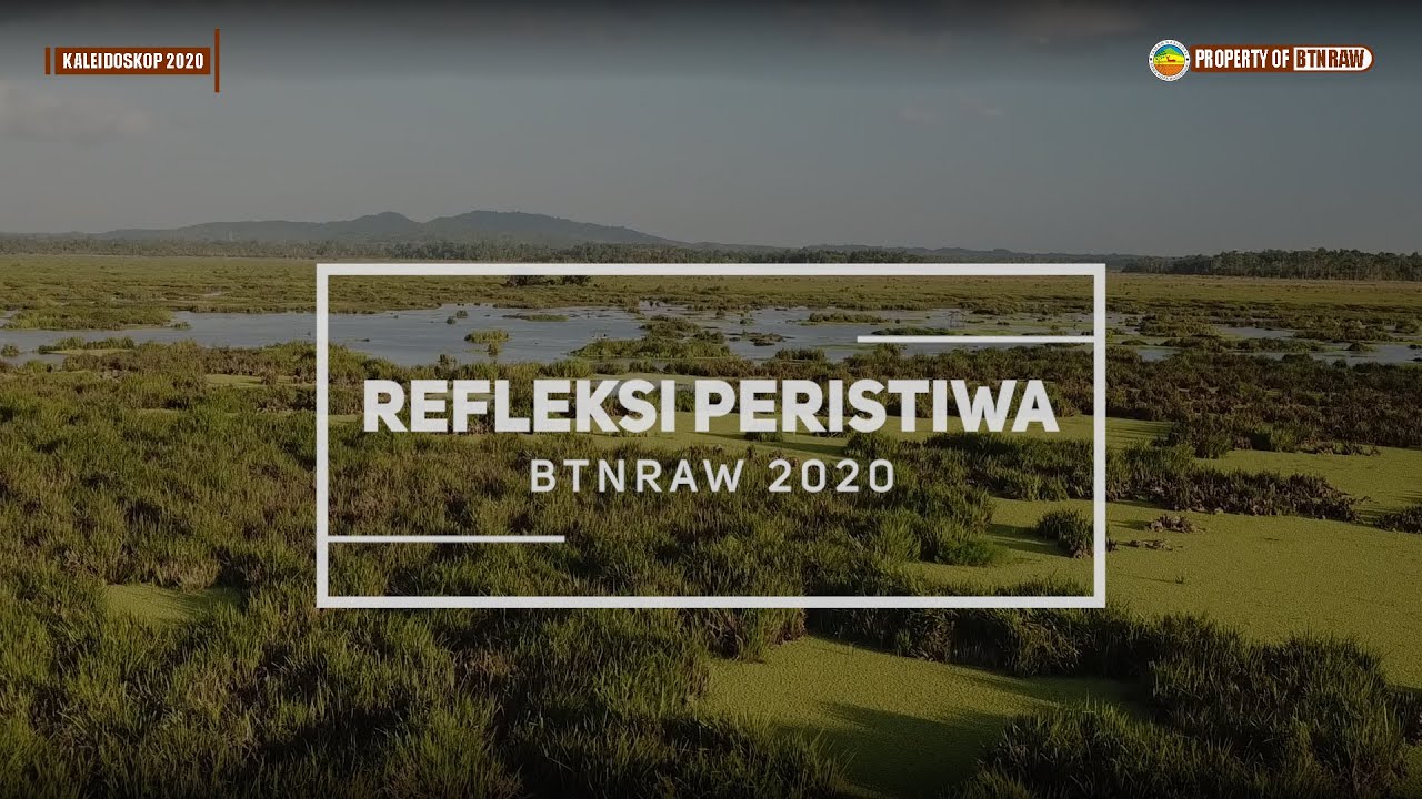 Kaleidoskop Taman Nasional Rawa Aopa Watumohai Tahun 2020 - YouTube