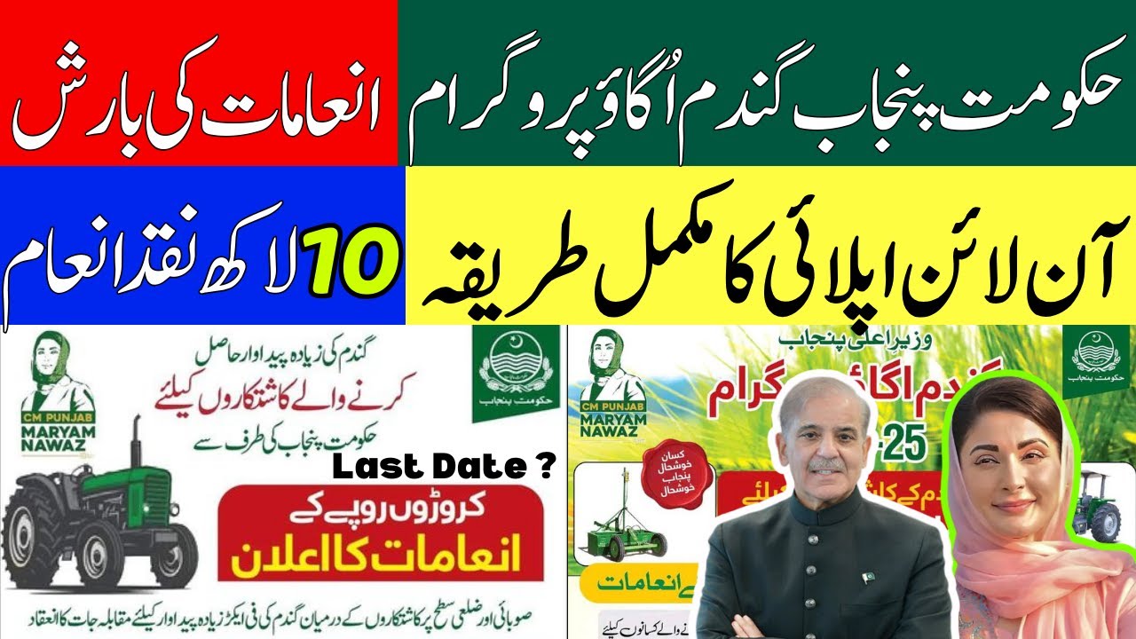 Punjab Government Wheat Growing Programme 2024/ 25 | How to Apply ...