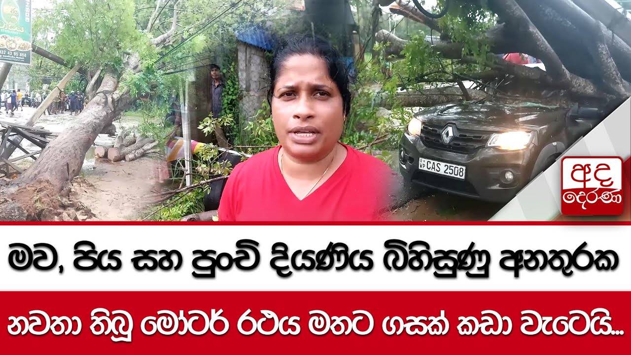 මව පිය සහ පුංචි දියණිය බිහිසුණු අනතුරක නවතා තිබූ මෝටර් රථය මතට ගසක්