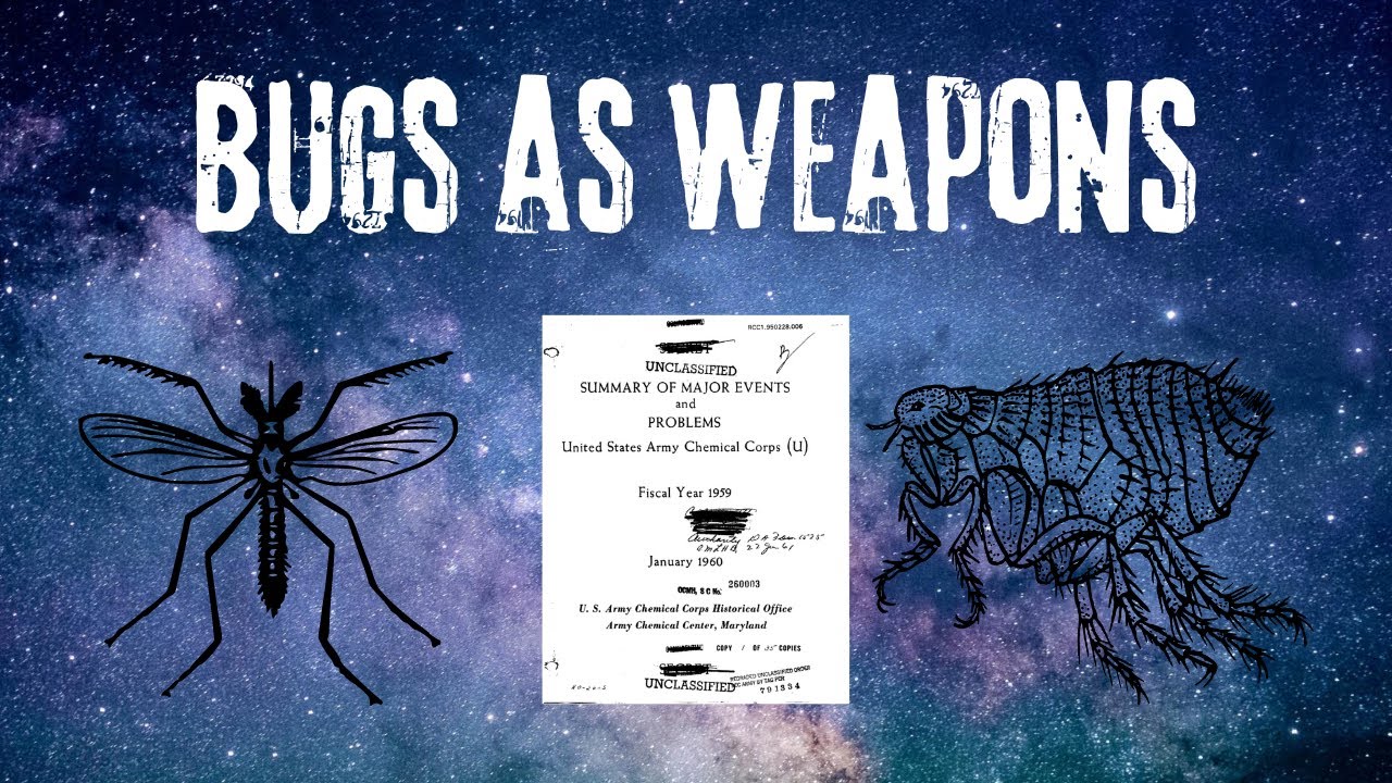 Bugs as Weapons: Operations Big Buzz, Big Itch, and Dropkick - YouTube