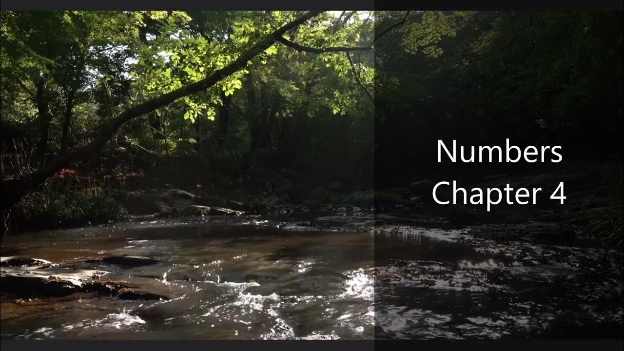 the-book-of-numbers-chapter-4-new-king-james-version-nkjv-audio