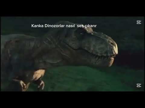 Başlığı dinozorlar yediiii 🦖🐲🦕