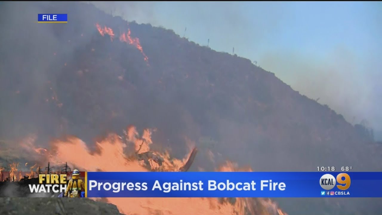 Increasing Containment For Bobcat Fire Leads To Updated Evacuation ...