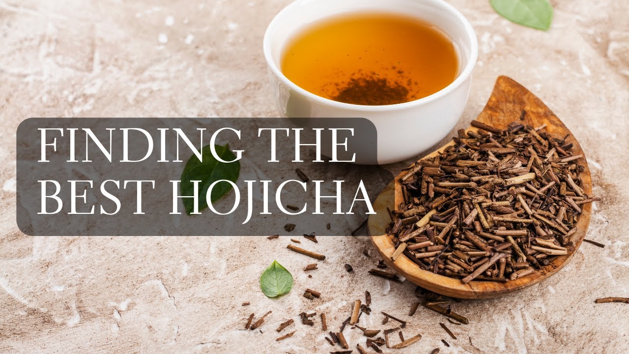 Tasting 4 Hojicha Teas to Find the Best - YouTube