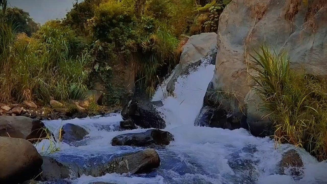 River Sounds for Sleep & Focus | Calming Waterfall Sounds for Mindful ...