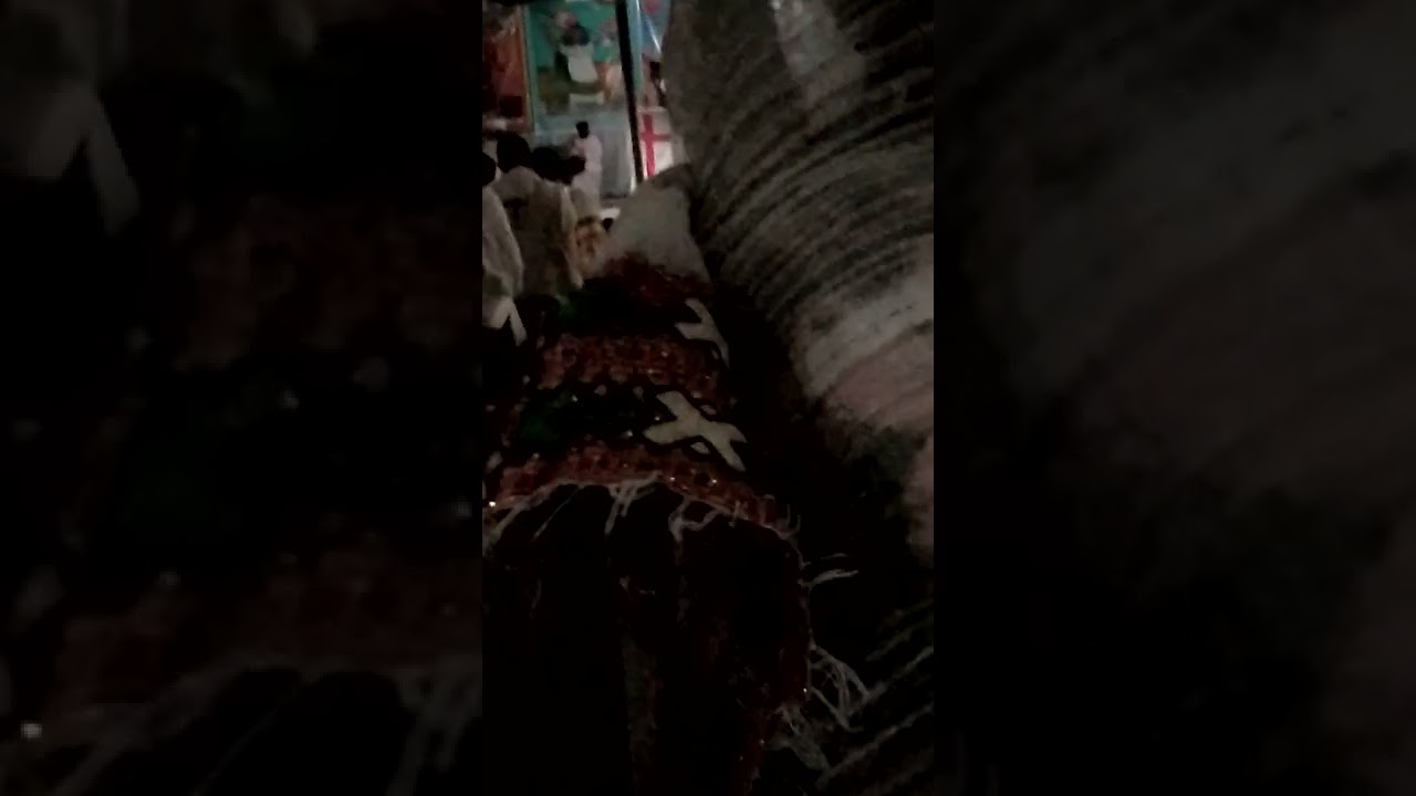 orthodox sebeket - YouTube