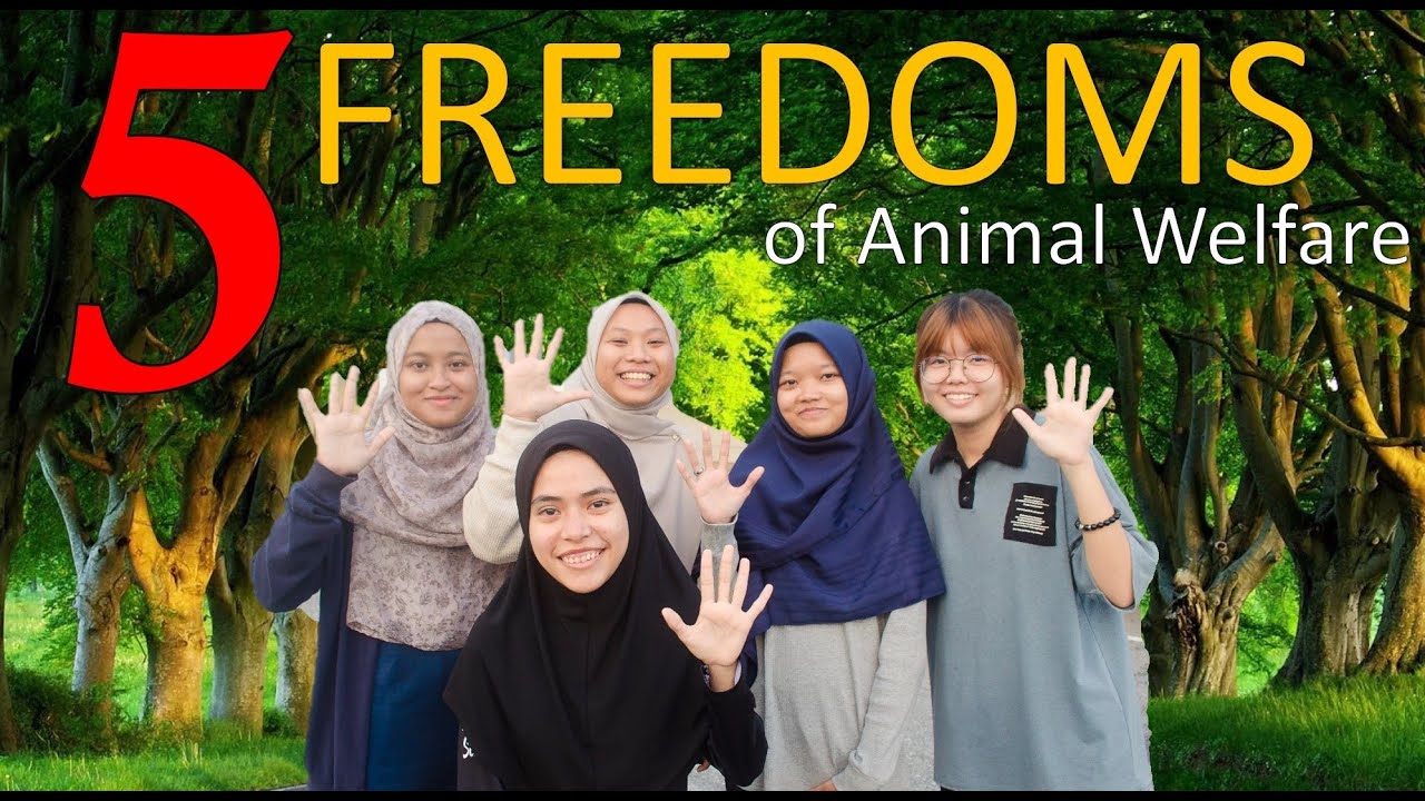 The 5 Freedoms of Animal Welfare - YouTube
