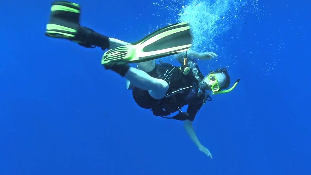 Remora Mistakes Scuba Diver for Shark - YouTube