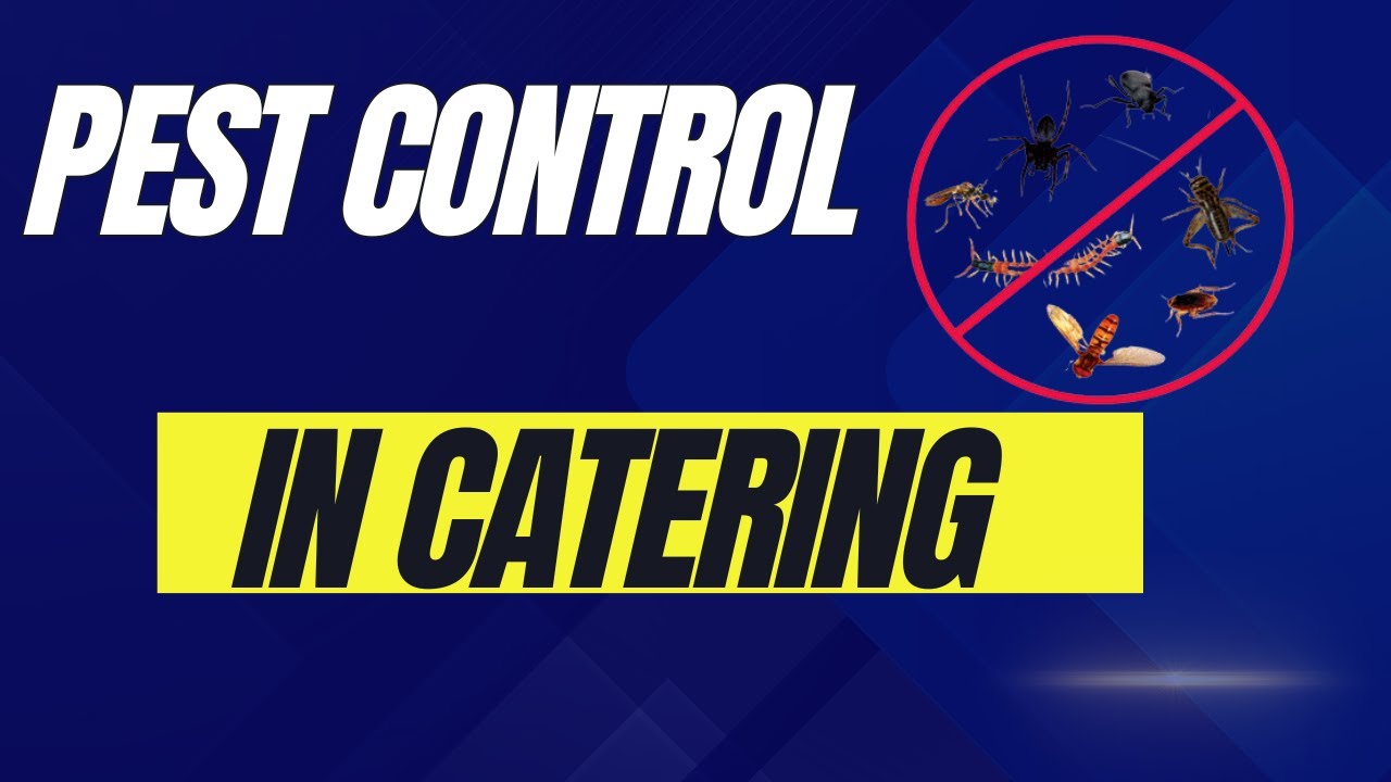 Pest Control in Catering - YouTube