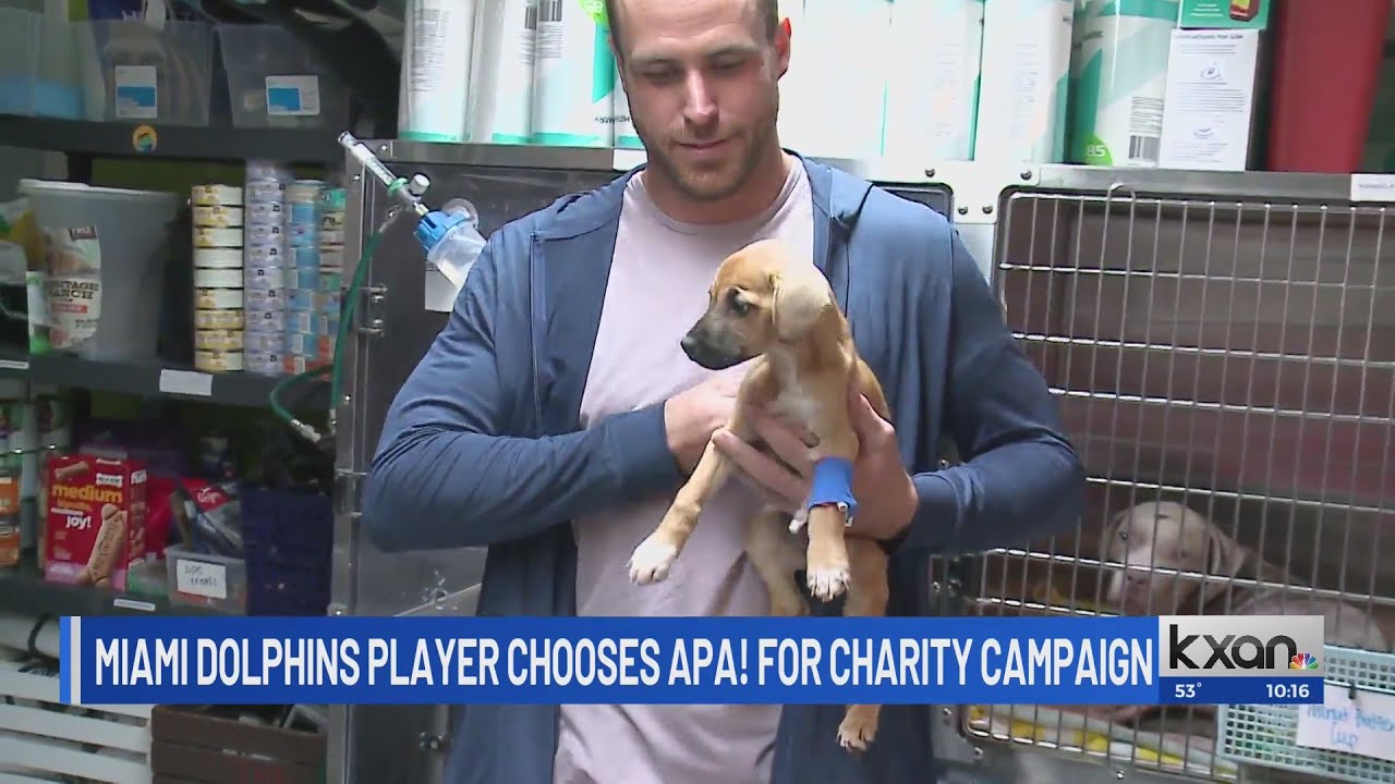 Miami Dolphins tight end partners with Austin Pets Alive! for NFL's 'My ...