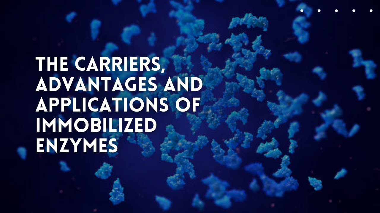 The Carriers, Advantages and Applications of Immobilized Enzymes - YouTube