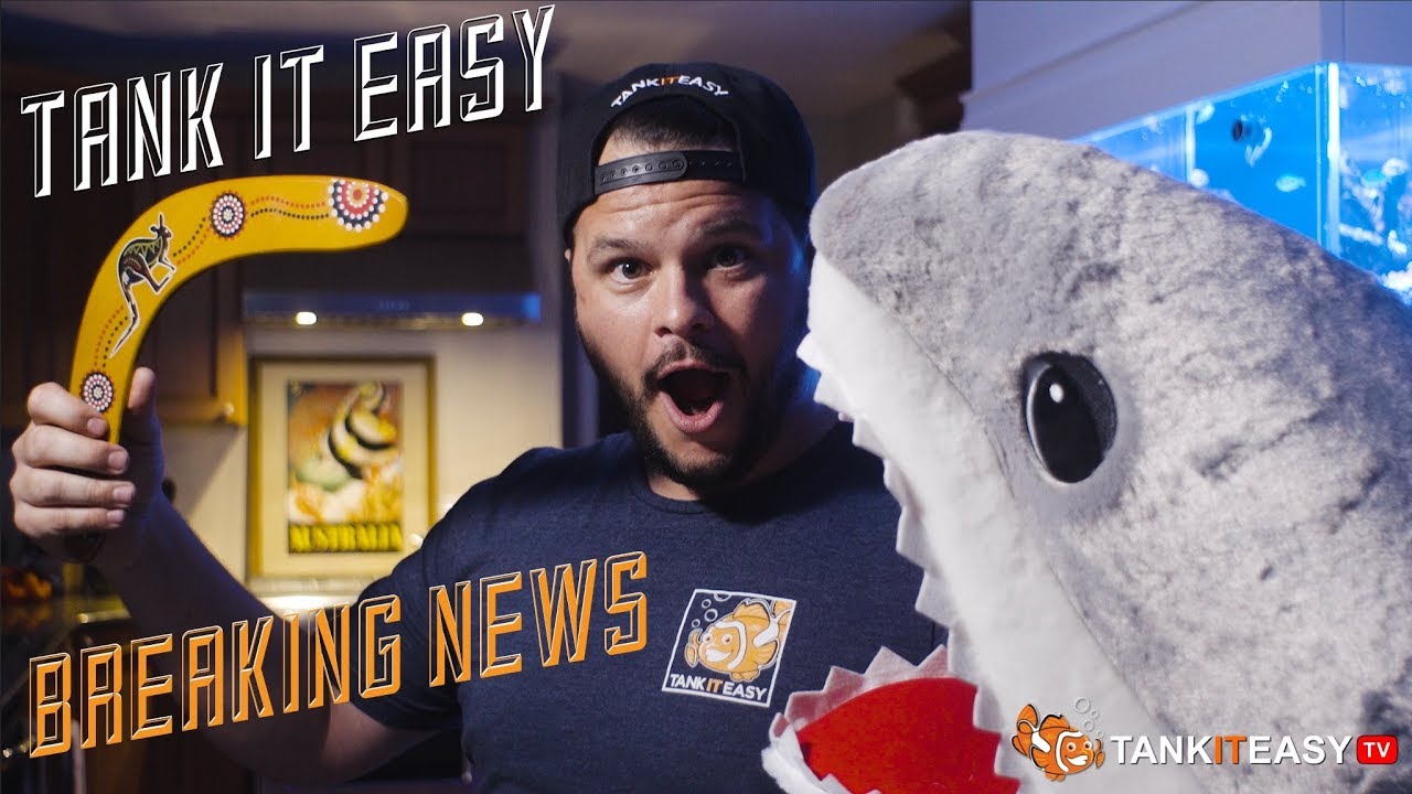 Tank it Easy Breaking News! - YouTube