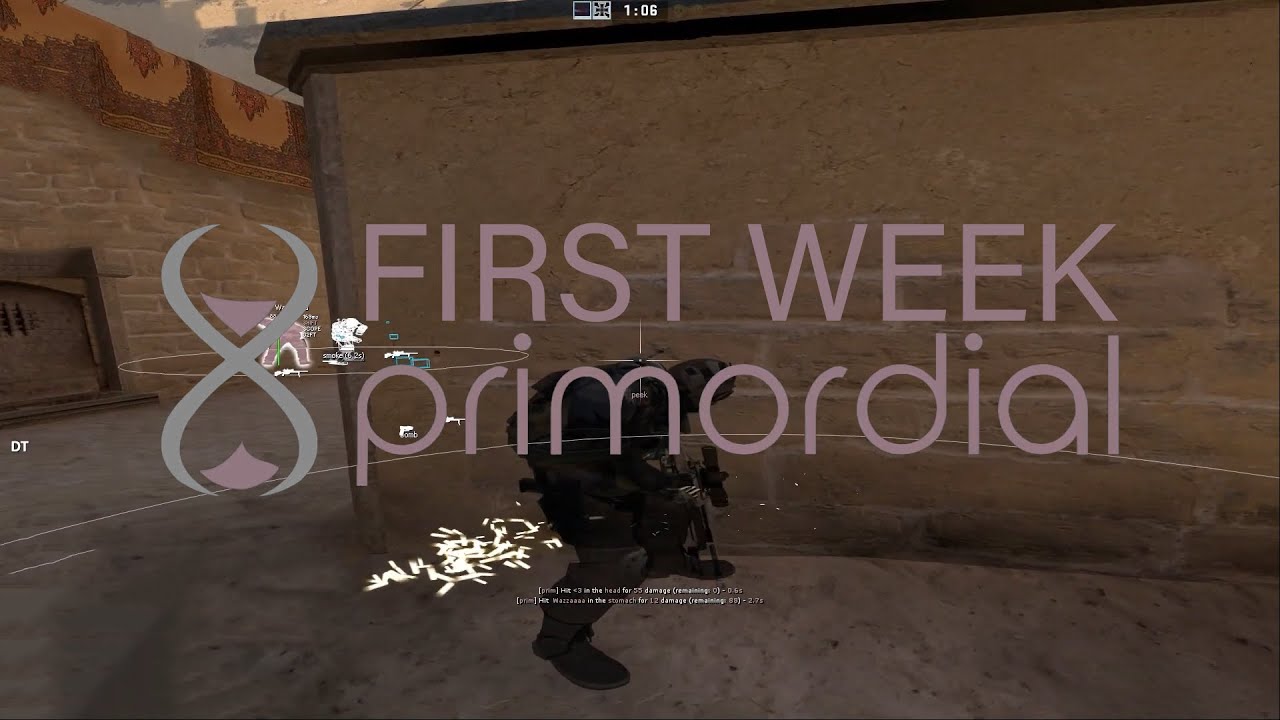 First week with Primordial.dev - YouTube