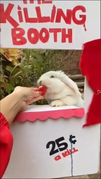 call 9-bun-bun 😱 killer bunny on the loose! #halloween #bunny # ...