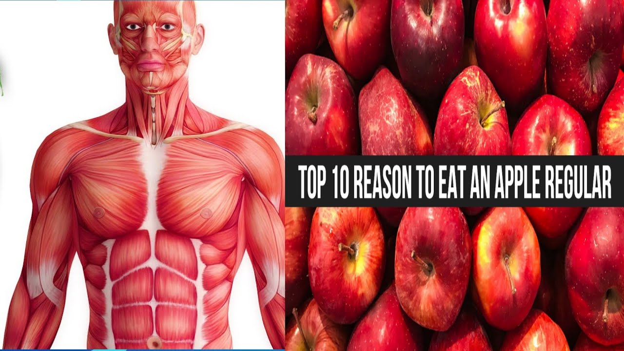 Eat One Apple Everyday, see what happens on your body | Top 10 reason ...