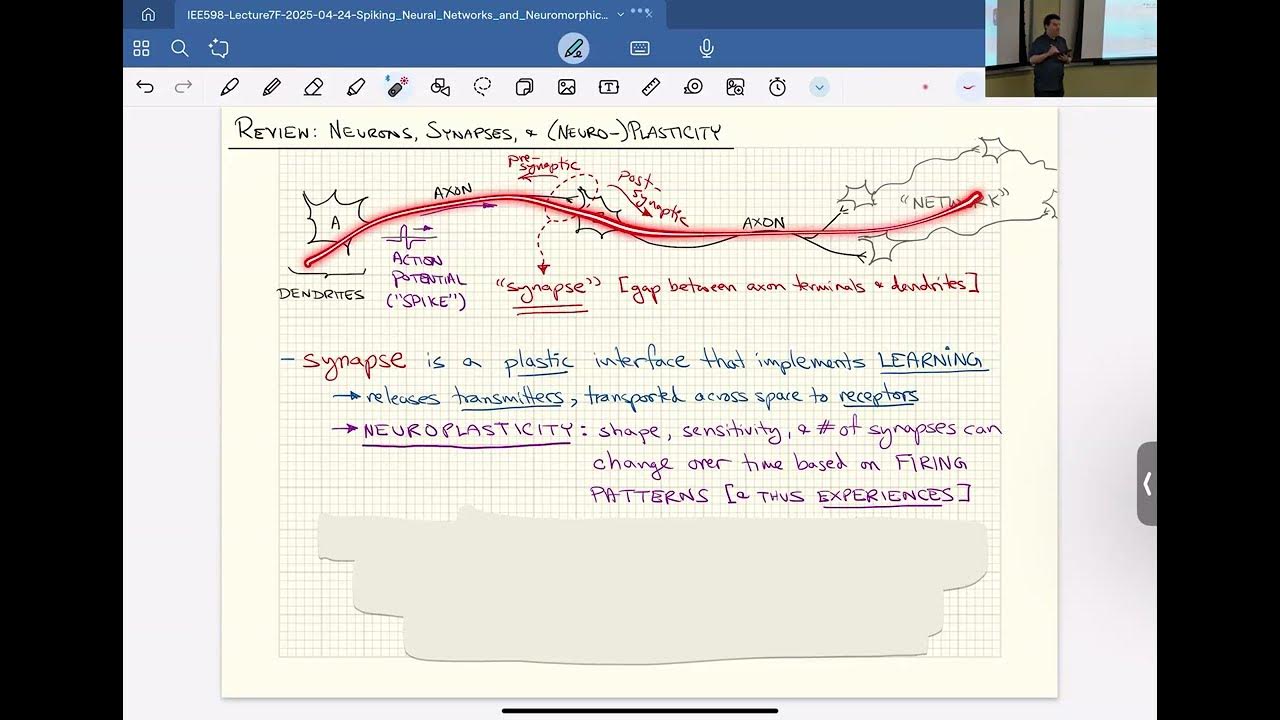 IEE 598: Lecture 7F (2025-04-24): Spiking Neural Networks and Neuromorphic Computation - YouTube