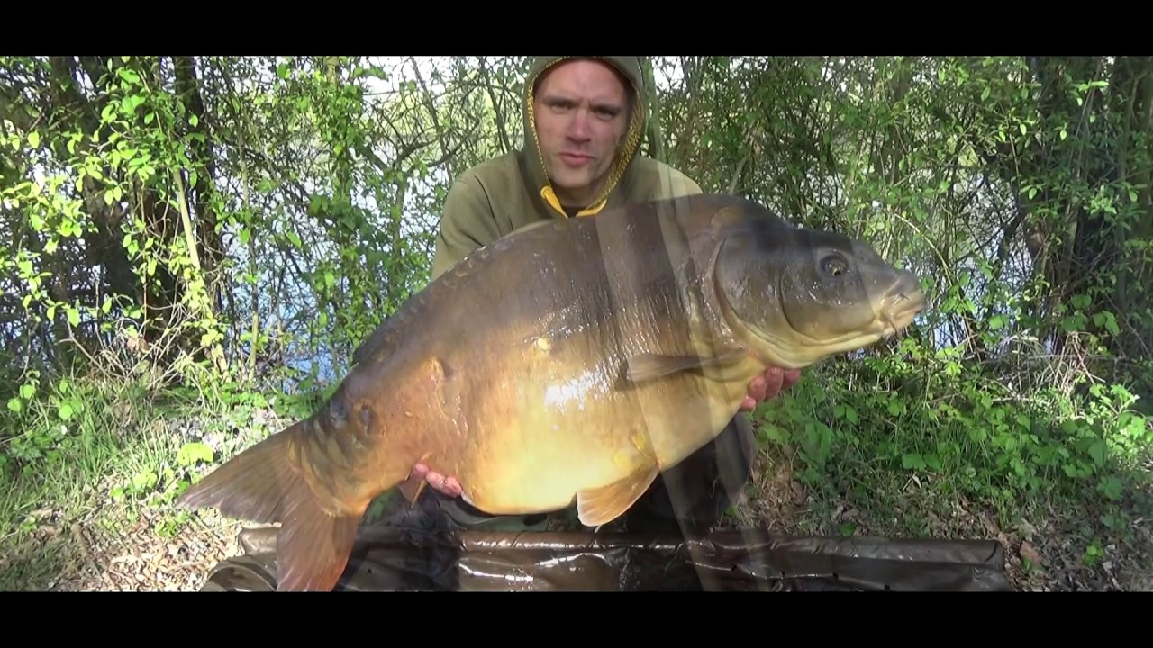 Techniques de pêche à la carpe - Lac privé - Episode 1 - YouTube