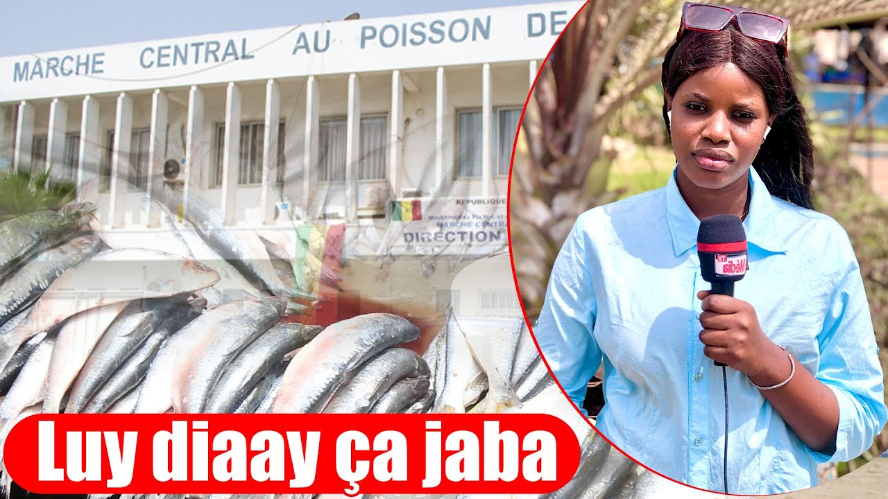 Luy diaay ça jaba: marché au poisson de Pikine, les bateaux étrangers ...