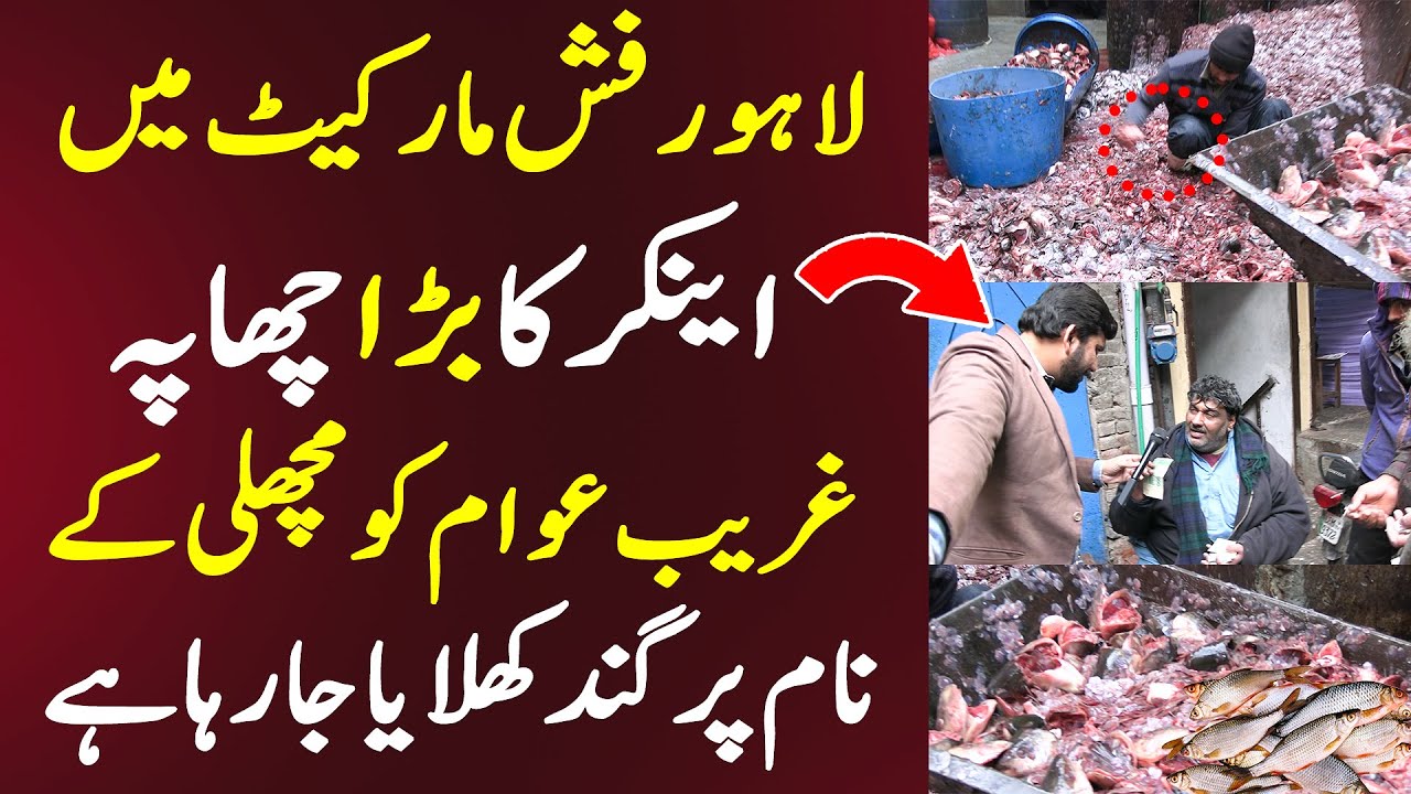 Anchor Ne Gandi Machli Bechnay Wala Gang Expose Kar Diya || Fish Market ...