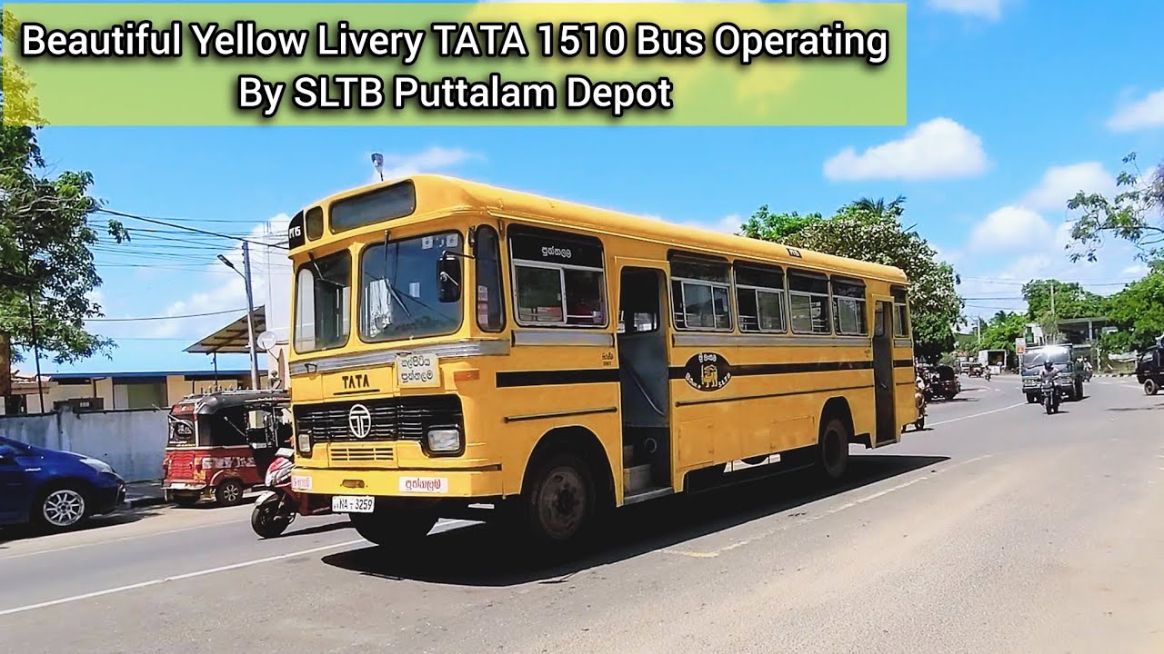 Beautiful Yellow TATA 1510 Bus Operating By SLTB Puttalam Depot || 18 ...