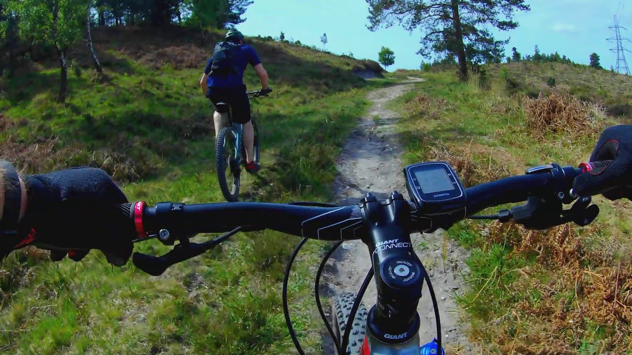 Sika Trail Wareham Forest MTB ride - YouTube