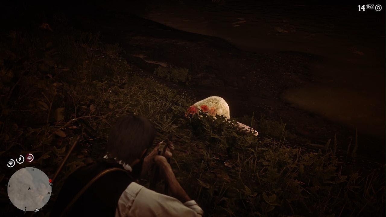 Red Dead Redemption 2 Legendary beaver - YouTube