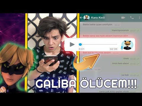 KARA KEDİ BANA SES KAYDI ATTI !! (Ağlatan Ses Kaydı)