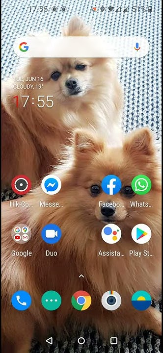 Push notifications - YouTube