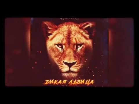 ALEX &RUS Дикаяльвица | New tiger sound trending video in tiktok | tiktok tiger meow music video