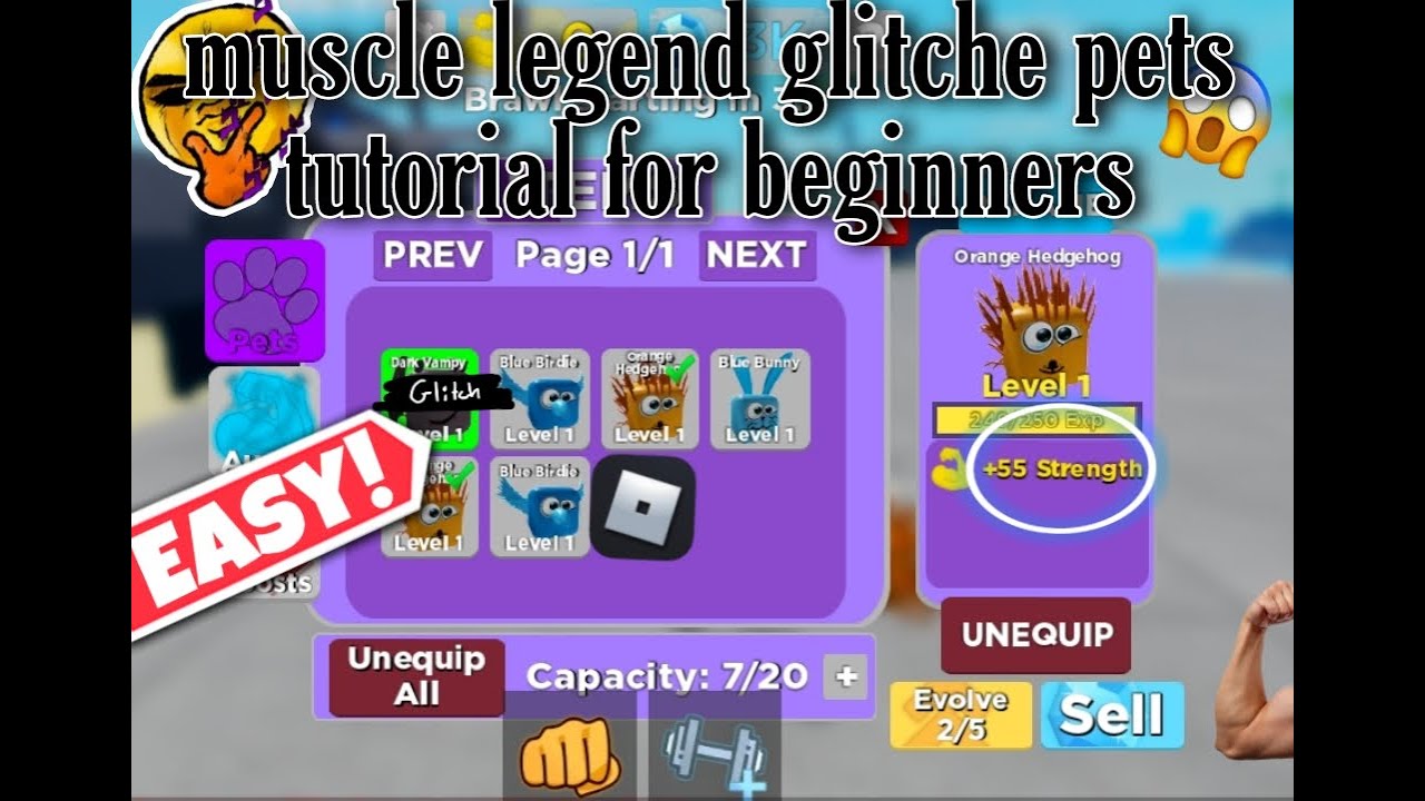 tutorial to glitch your pets easily for beginners in muscle legends ...